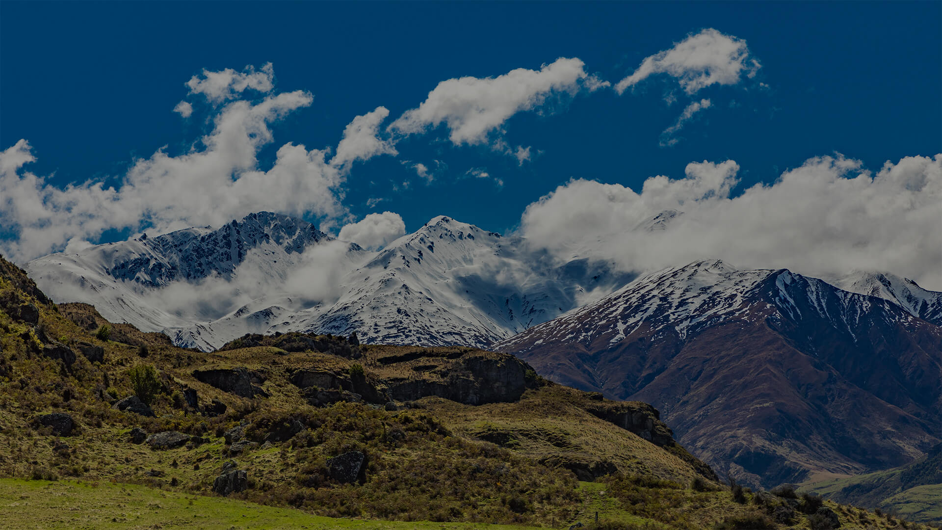 Contact – 31 Parallel