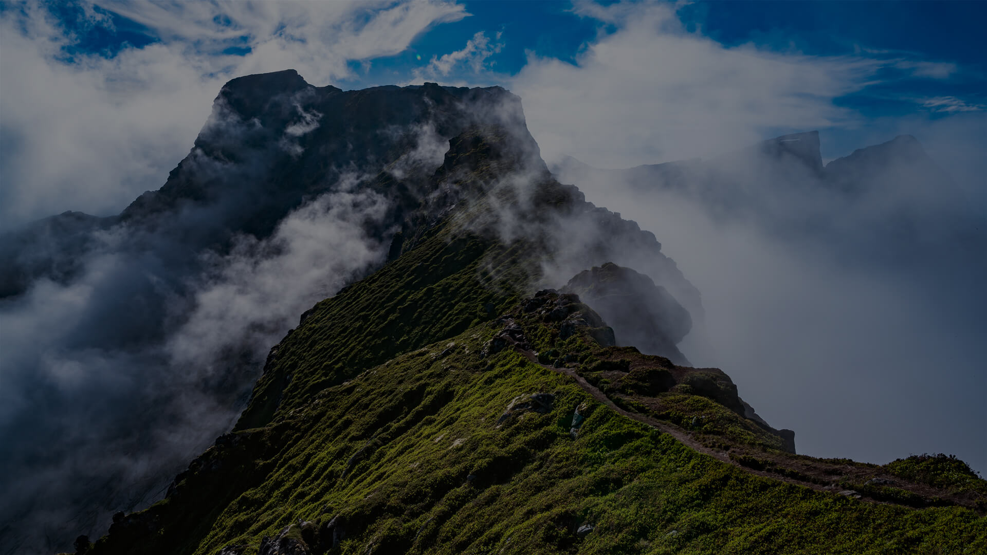 Careers – 31 Parallel